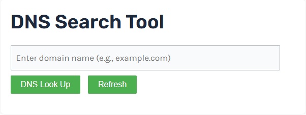 100% Accurate DNS Lookup : Check DNS Entries